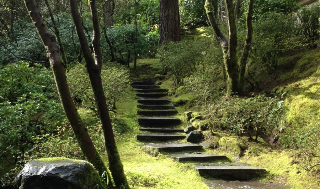 Sentence Builder Boxes: Support for beginning writers – English Endeavors